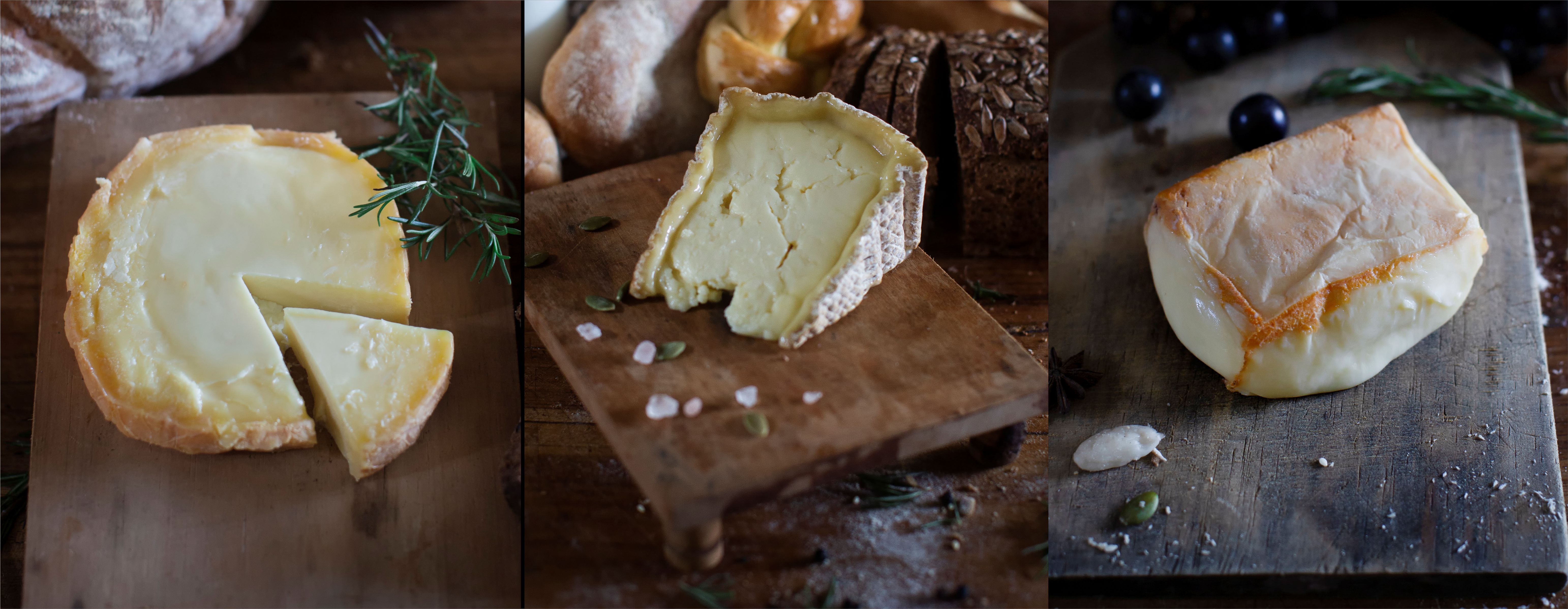 Artisan Washed Rind Cheeses | PT. Pasti Enak